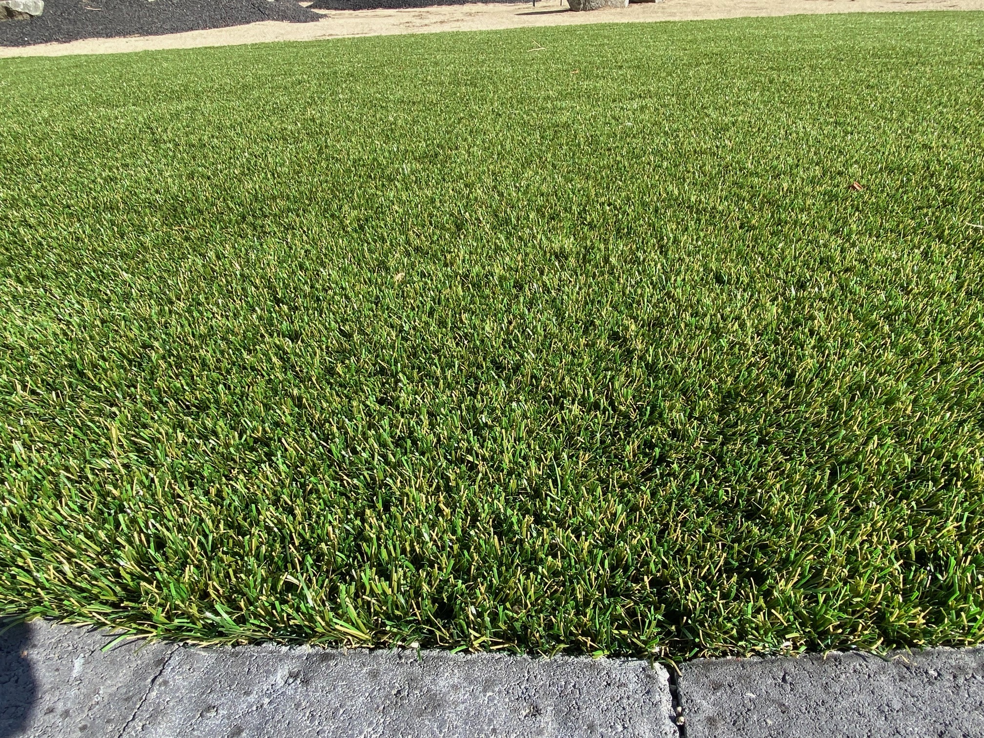 Premium Artificial Turf
